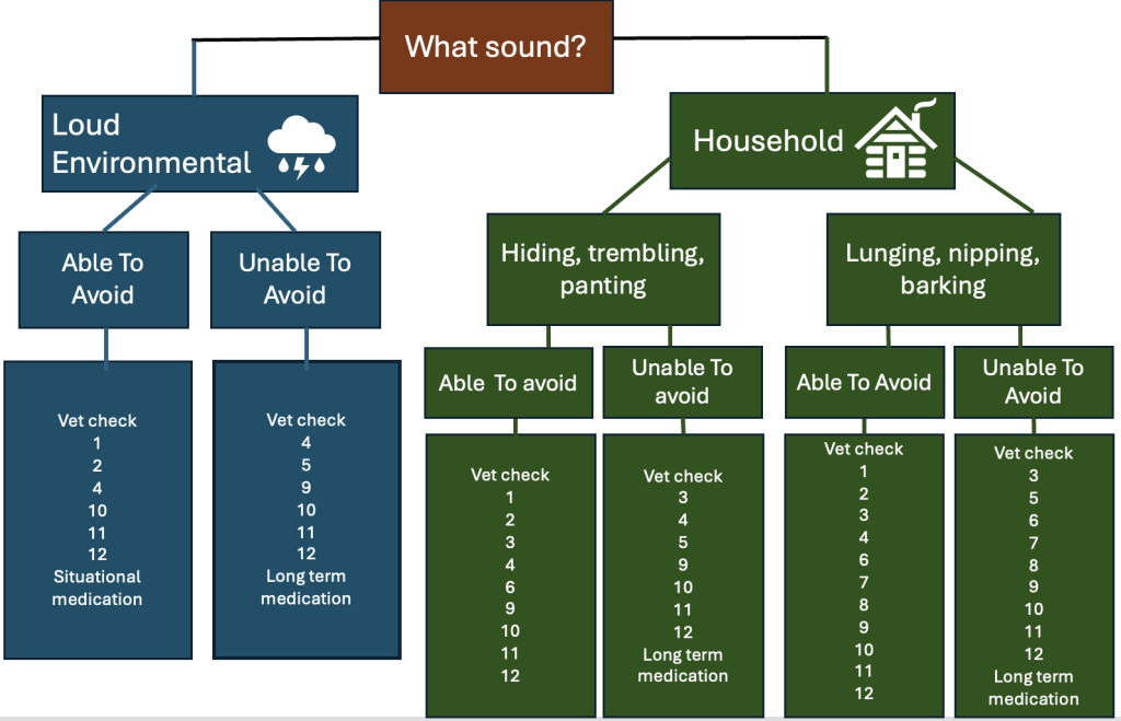 Training techniques for a sound phobic or sound reactive border collie
